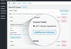 How to Customize Search Page Results in WordPress: A Guide - Codeable