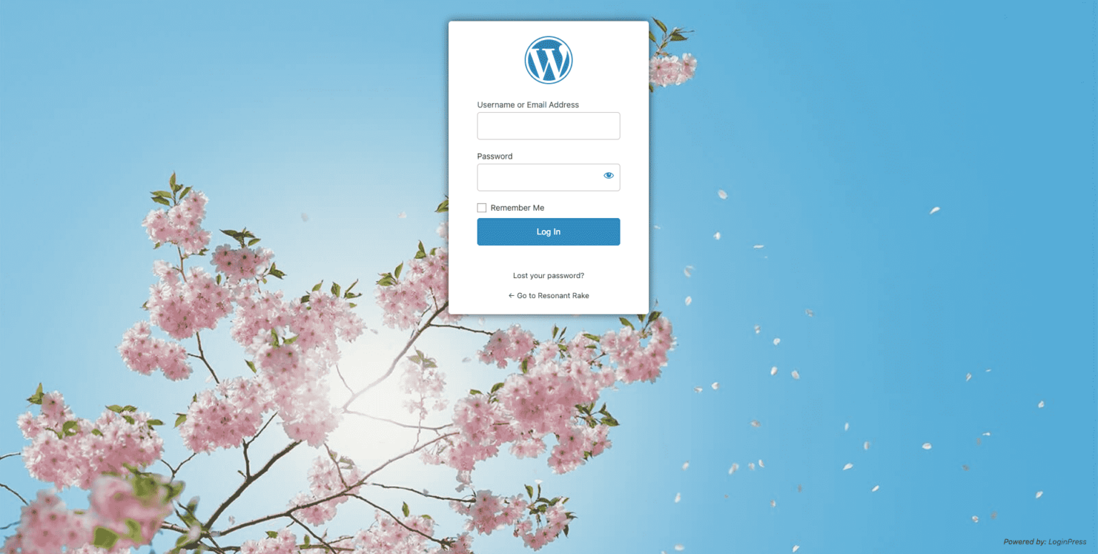 How to Build a Custom WordPress Login Page (Complete Guide) - Codeable