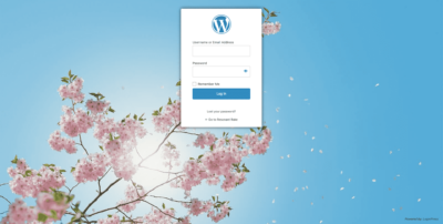 How to Build a Custom WordPress Login Page (Complete Guide) - Codeable