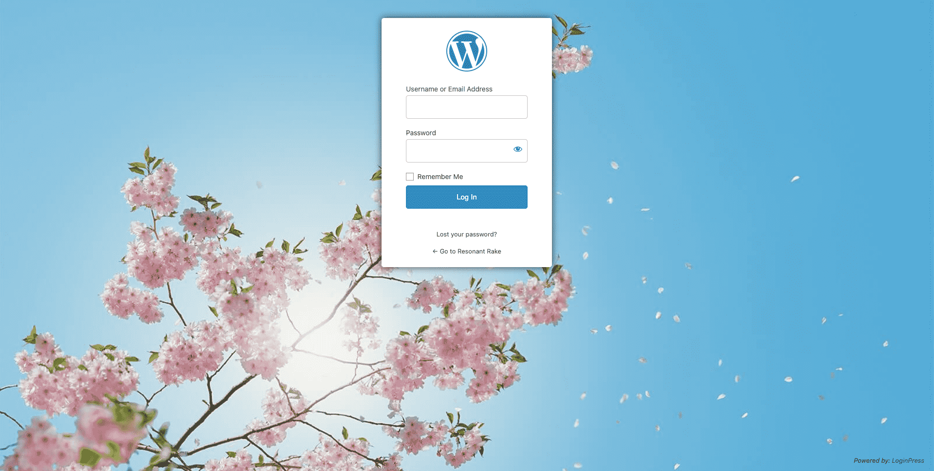 How to Build a Custom WordPress Login Page (Complete Guide) - Codeable