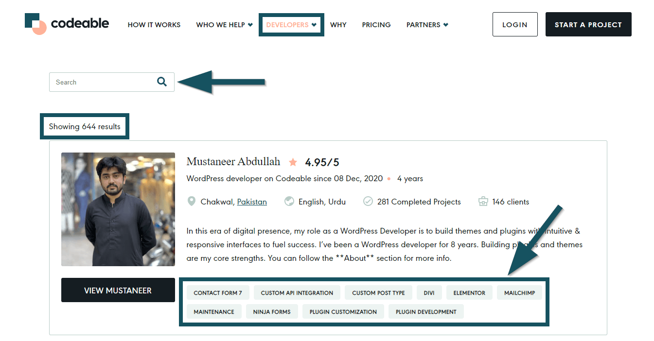 Why Businesses Should Consider Hiring a WordPress Developer - Codeable