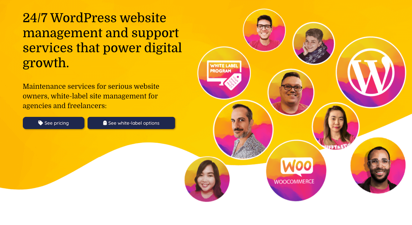 How to Choose the Right WordPress Maintenance Service: Essential Guide - Codeable