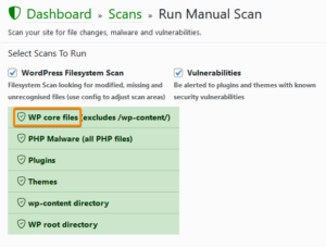 Is Your WordPress Site at Risk? 7-Step Security Audit Guide - Codeable