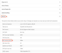 WordPress Memory Limit: How to Increase It and Fix Errors - Codeable