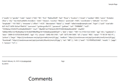 WordPress External API Setup Guide - Codeable